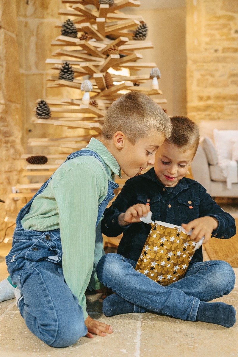Le sapin en bois, écologie et design - Mon Sapin Woody